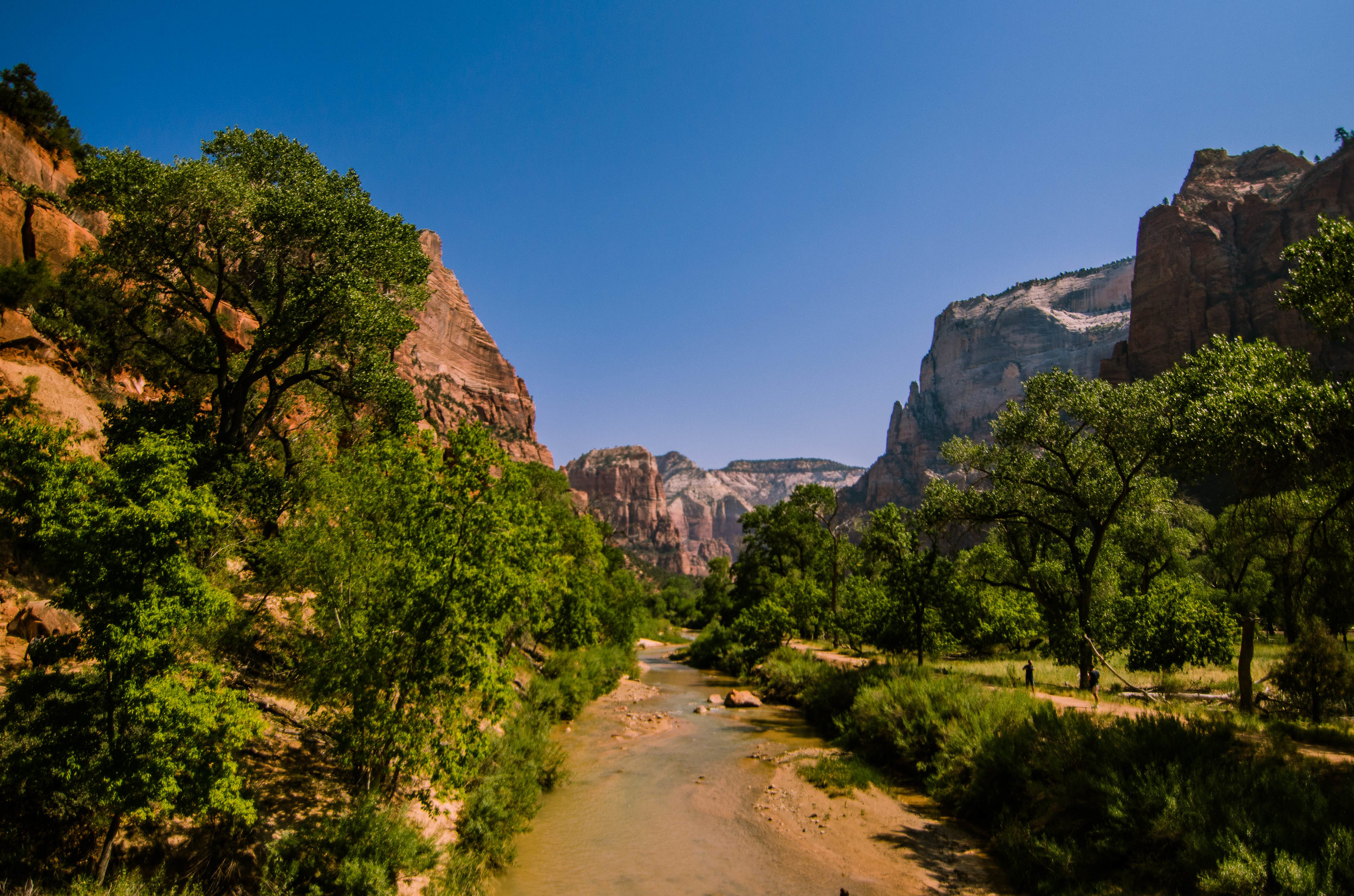 The Mighty Five — Cody Crigger