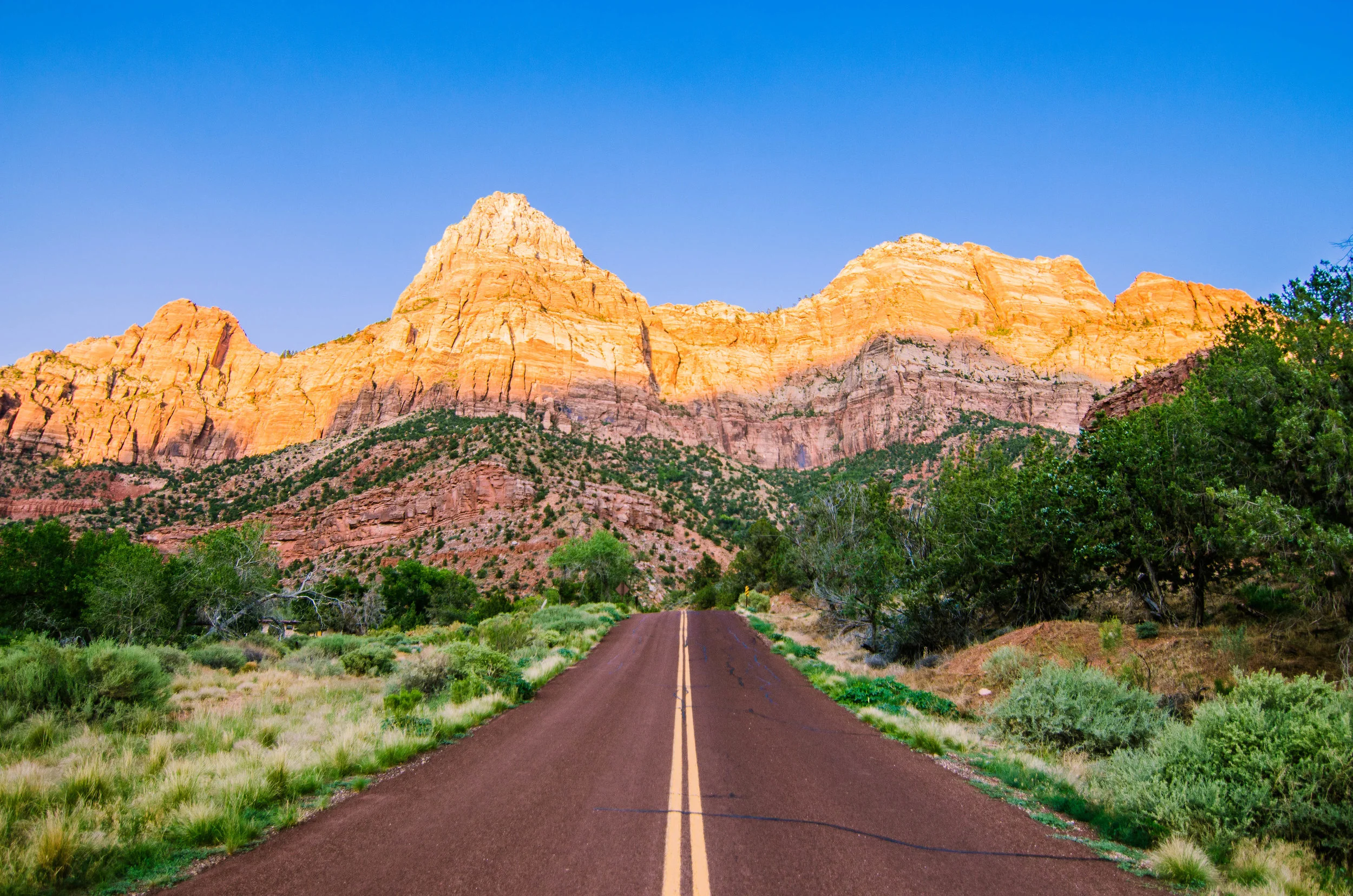 The Mighty Five — Cody Crigger