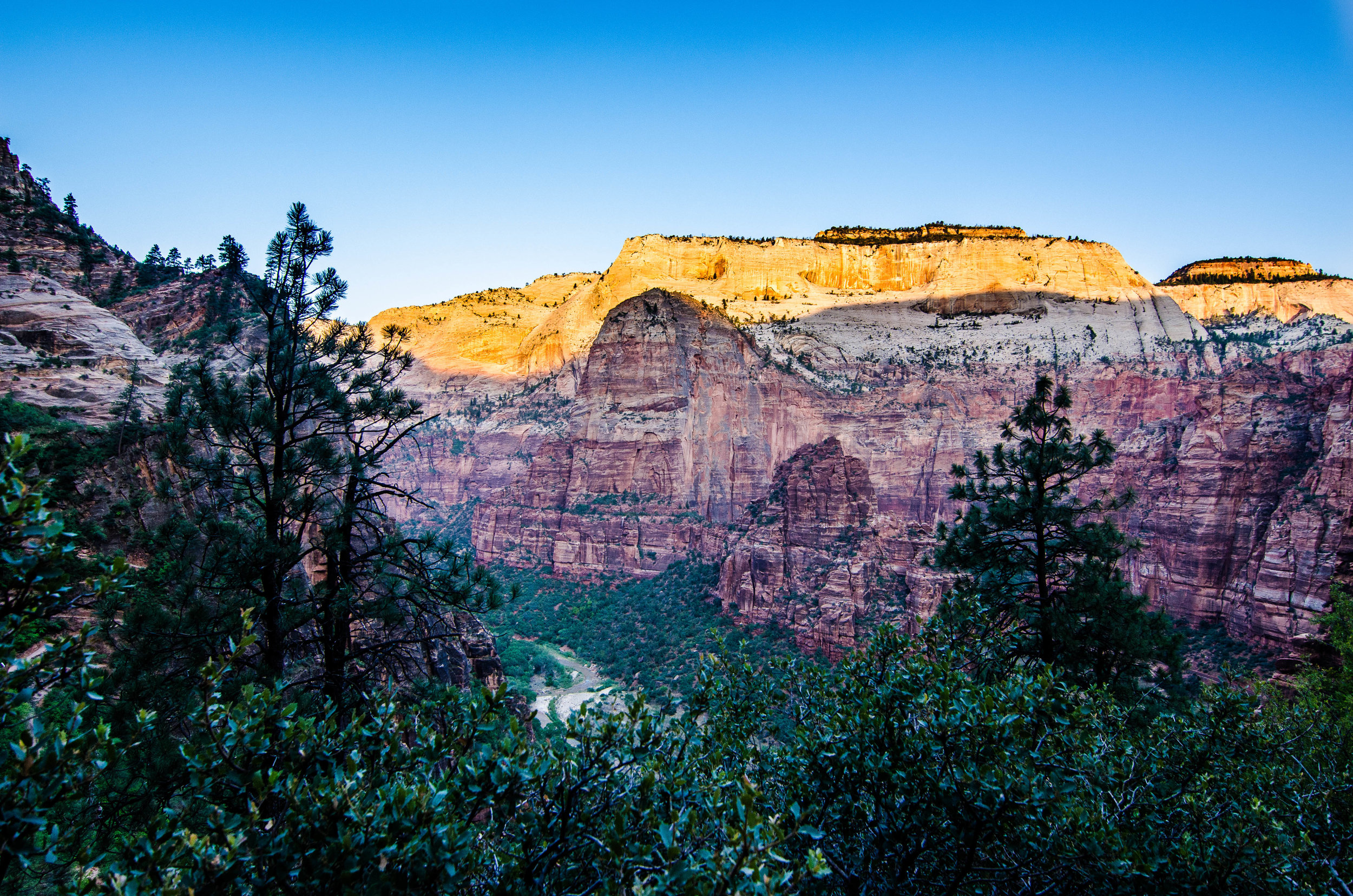 The Mighty Five — Cody Crigger