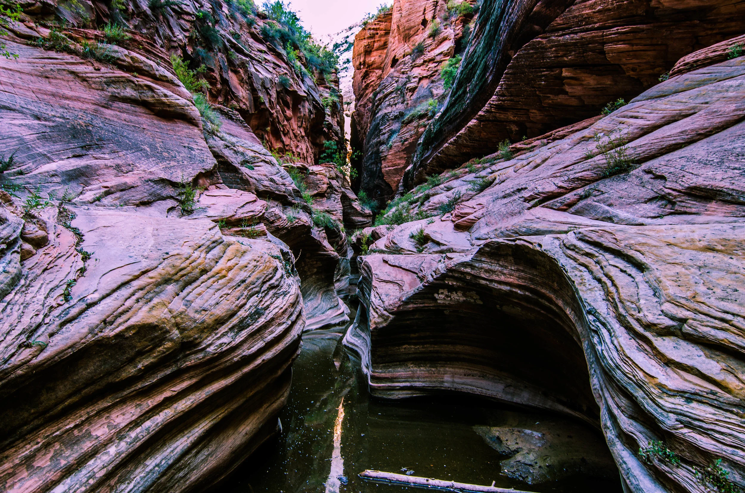 The Mighty Five — Cody Crigger