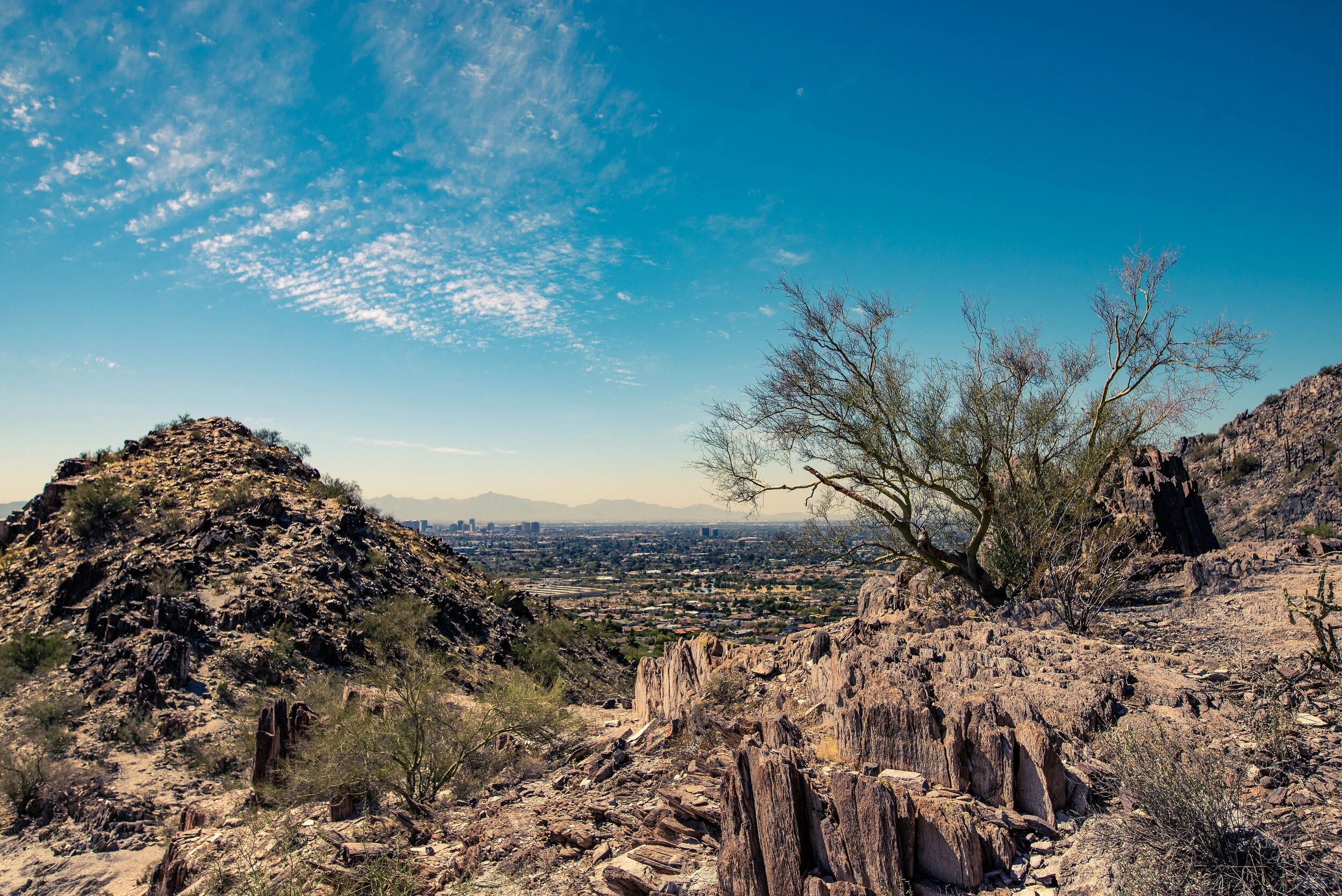 Arizona 2021 — Cody Crigger