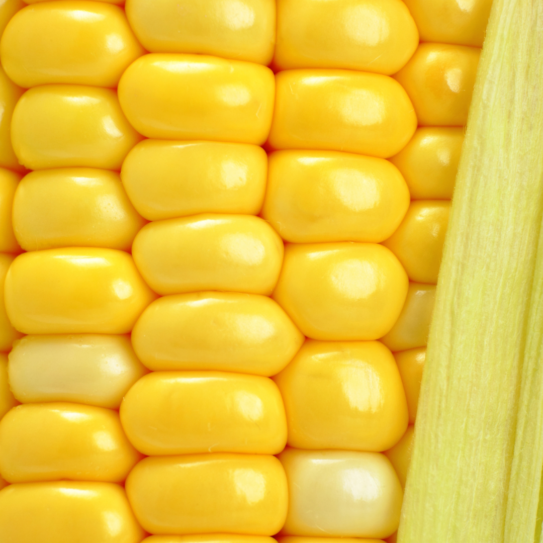 Our Own Caramels — Cream City Caramels & Confections