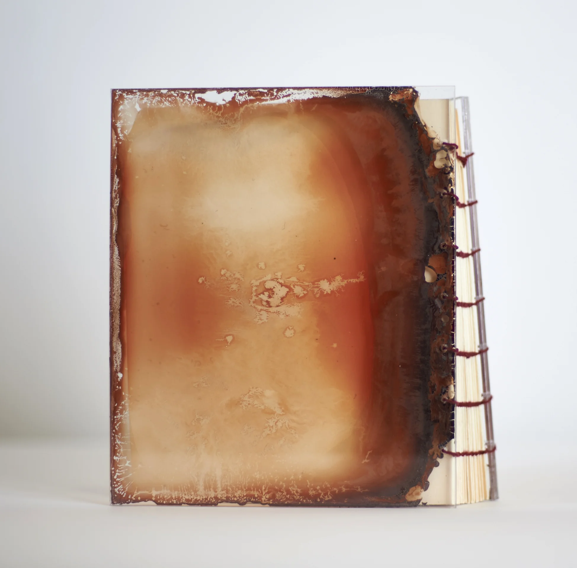 Better Blood (book) — Forrest Lawson