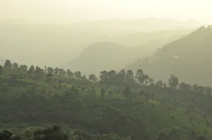 Comprehensive Behavioral Intervention for Tics (CBIT) in Boston, MA ...