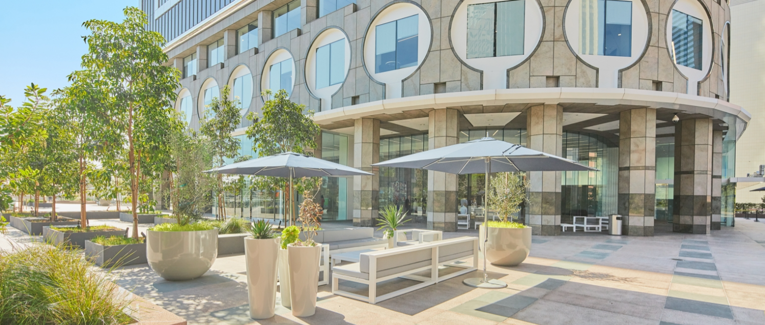 HISTORY — MALLTAIL