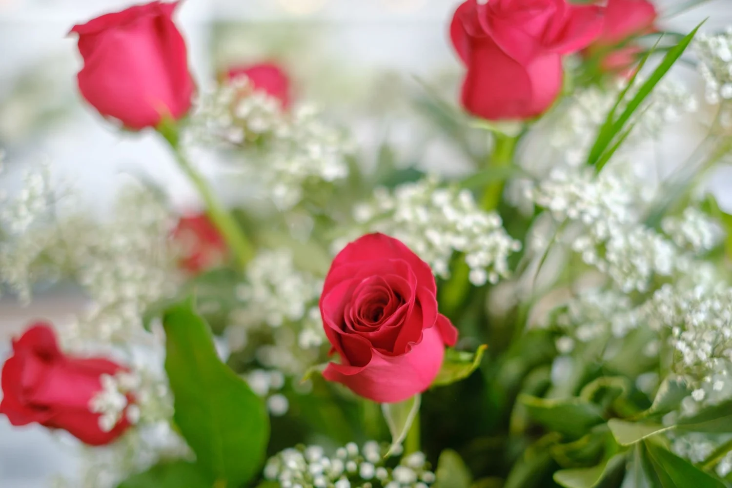 Flowers Regina Sask | Best Flower Site
