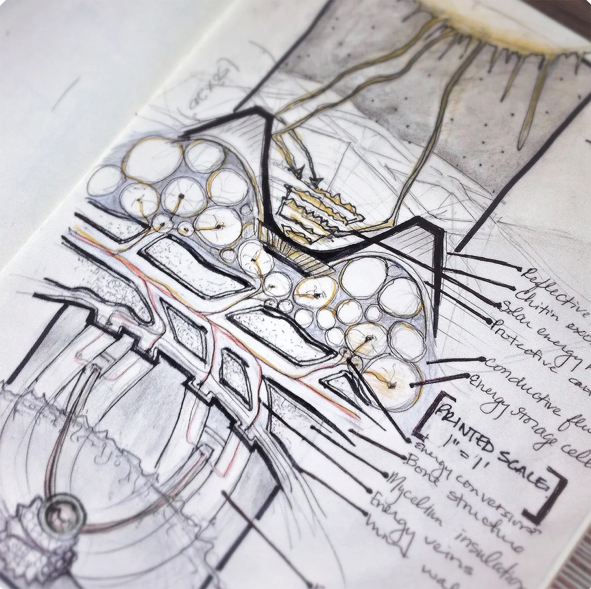 MECHA:spore — Leah Alissa Bayer's Portfolio