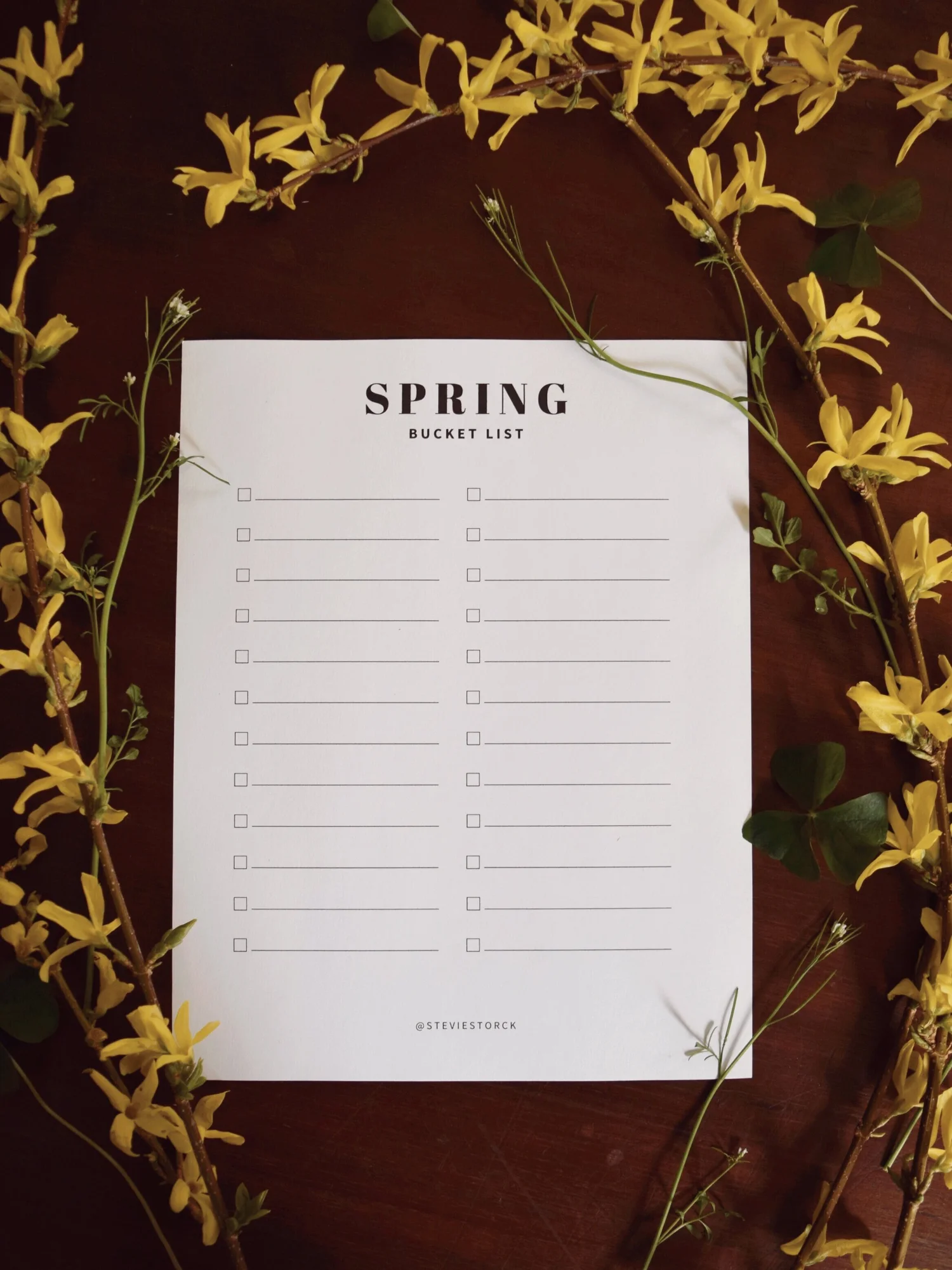Our Spring Bucket List | Free Printable PDF Download — Stevie Storck