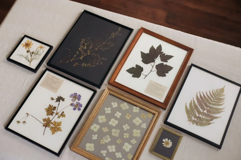 DIY Vintage-Inspired Pressed Flower Art — Stevie Storck