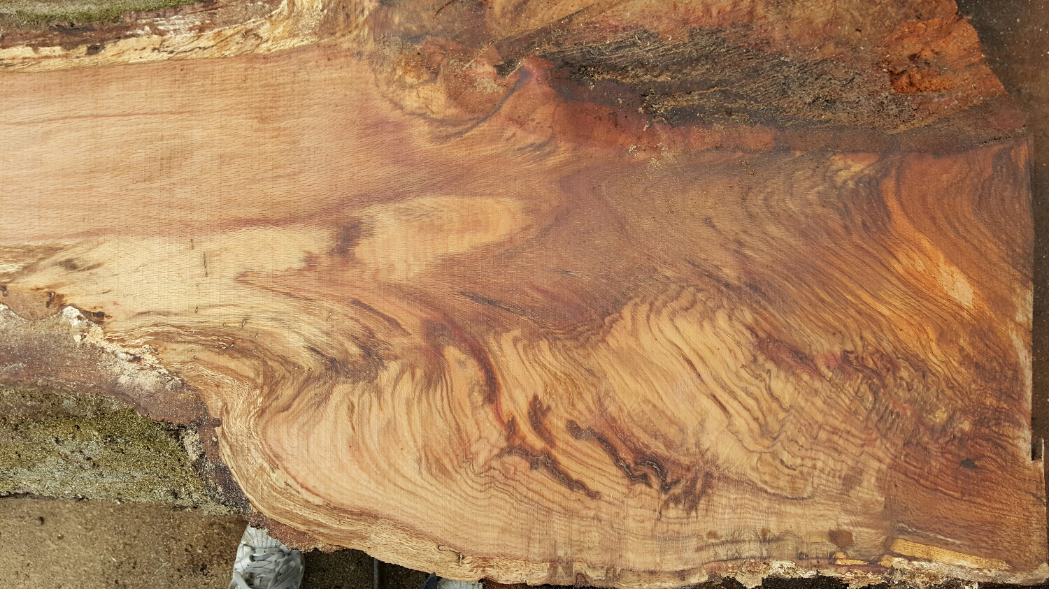 Red Oak — NYCitySlab