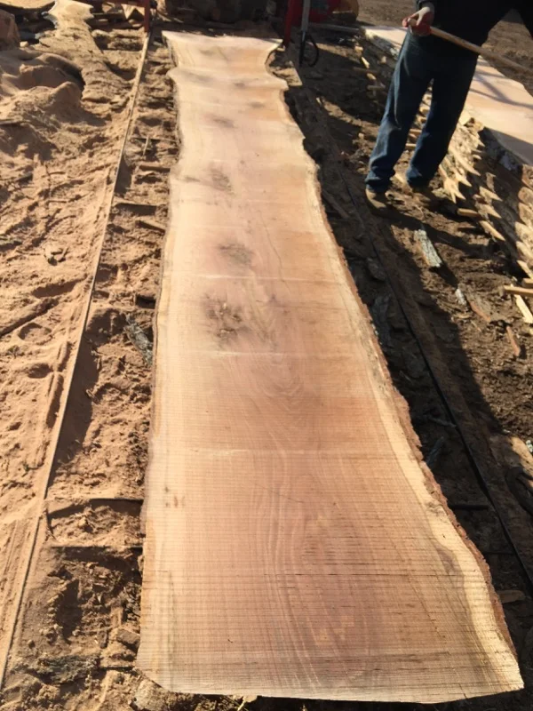 Knotty White Oak — NYCitySlab