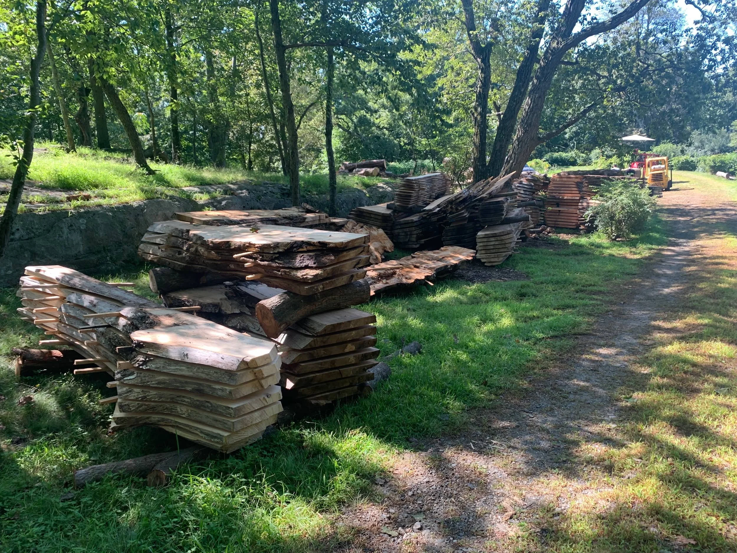 On-Site Lumber, Tree, & Wood Milling Services in NYC — NYCitySlab