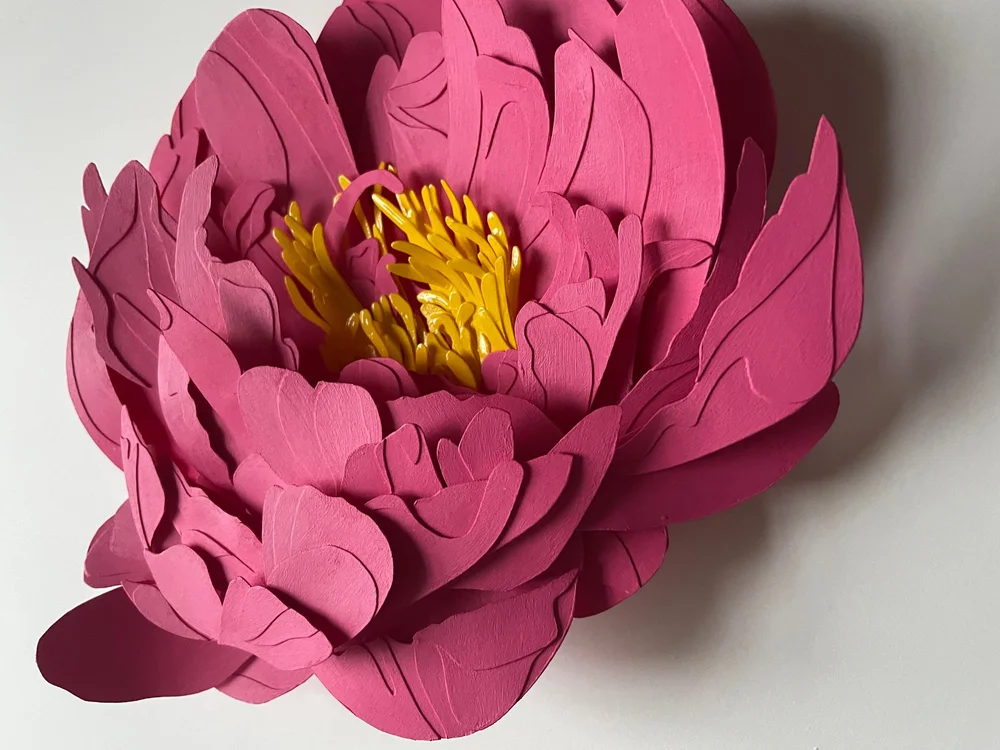 commission — joey bates