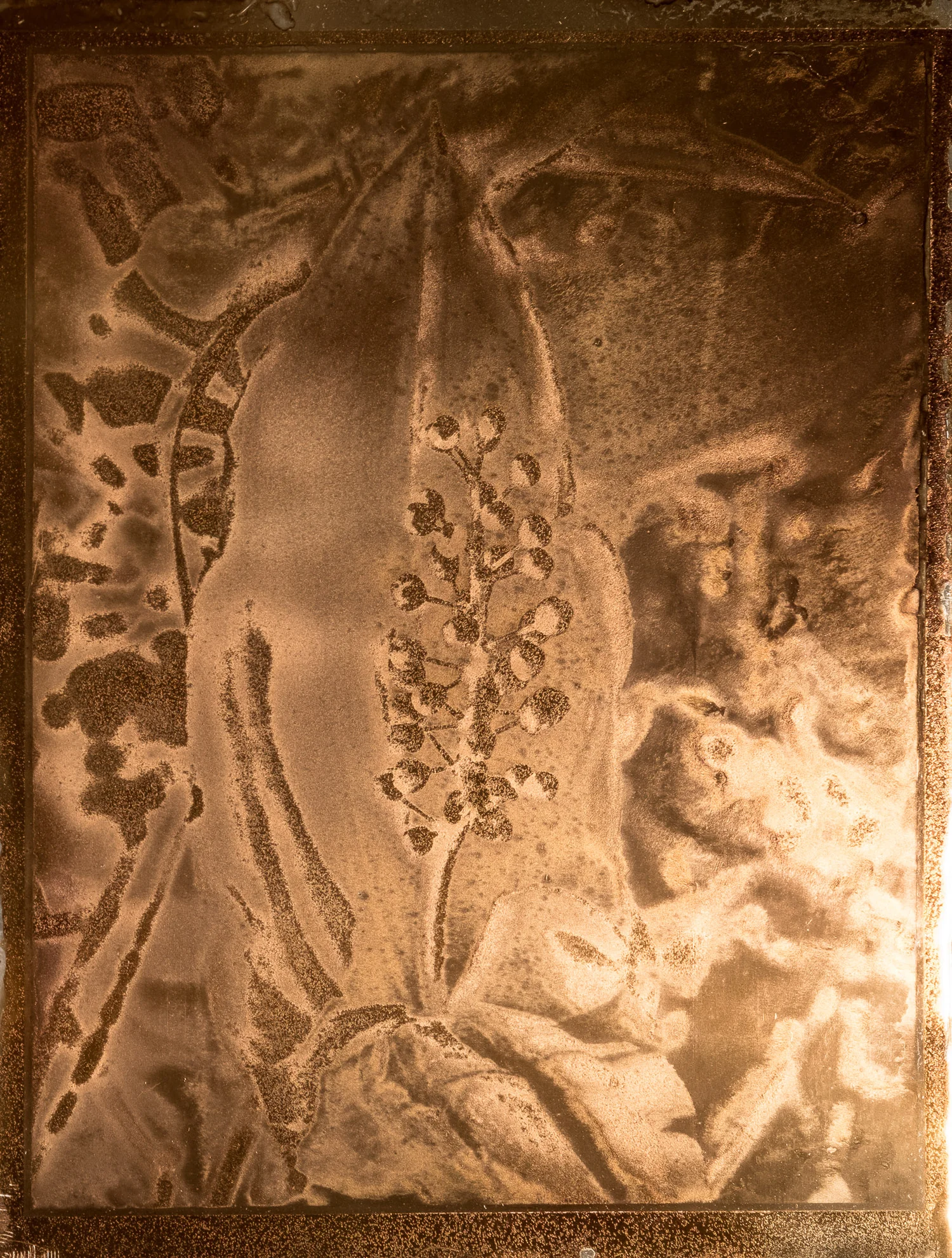 Petrograph Lighting Effects — Warren Cariou