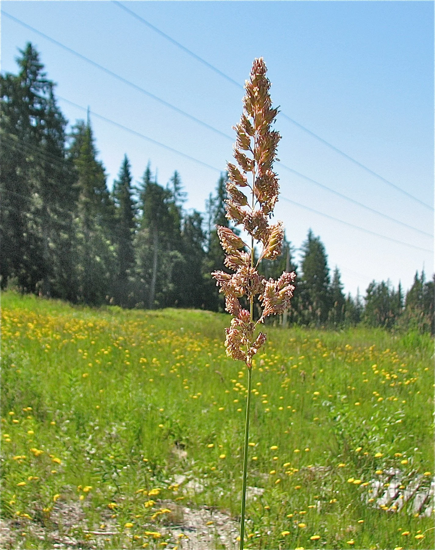 BC Environmental Farm Plan Guide and Workbook, and Development of ...