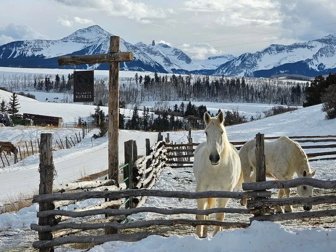 Telluride Sleighs and Wagons