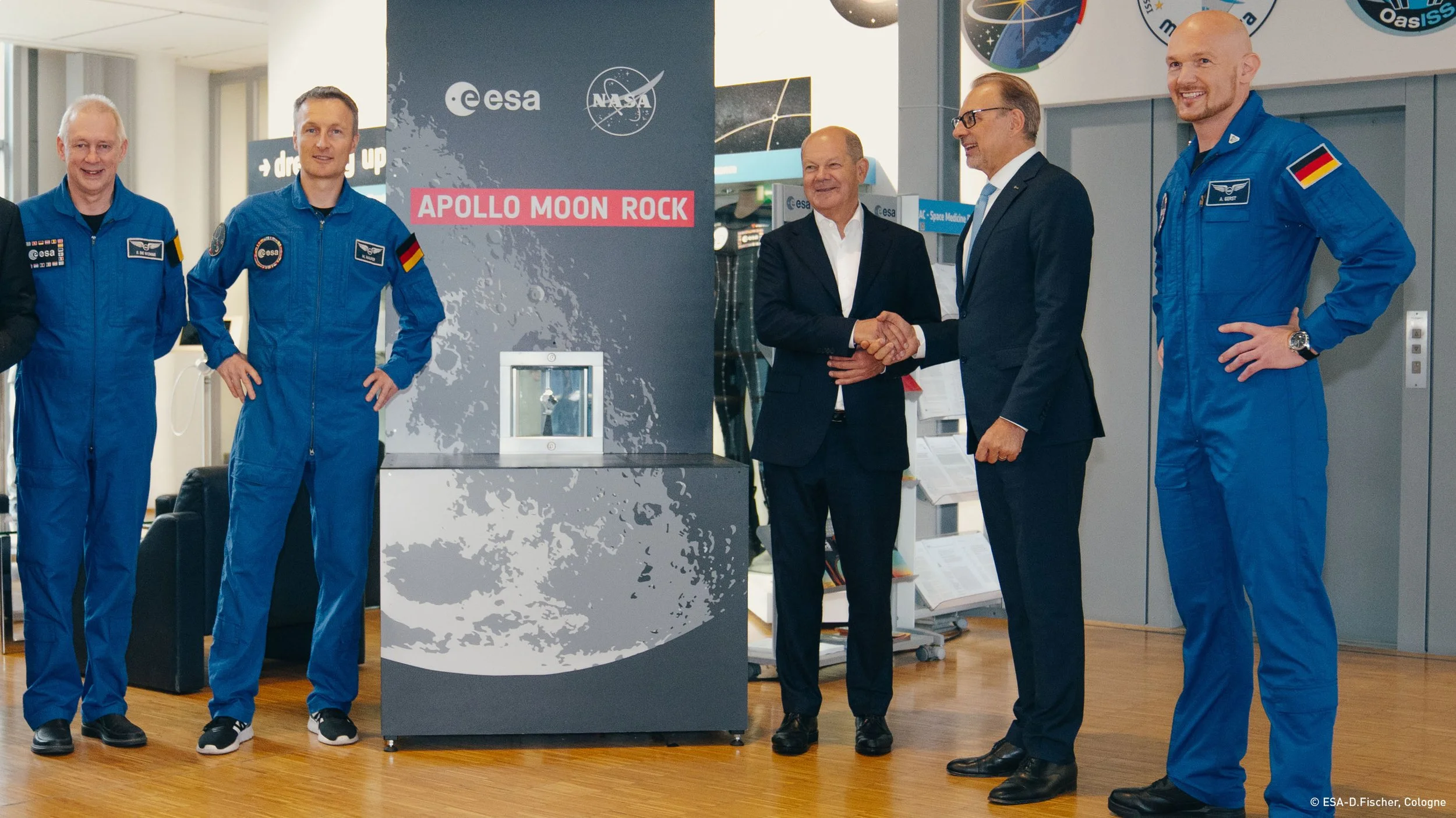 yellow design | yellow lab | yellow too