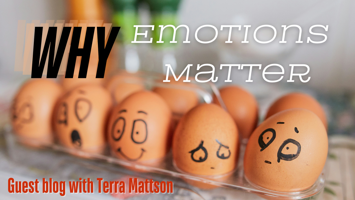 Why Emotions Matter (Guest Blog with Terra Mattson) — Dr. Michelle ...