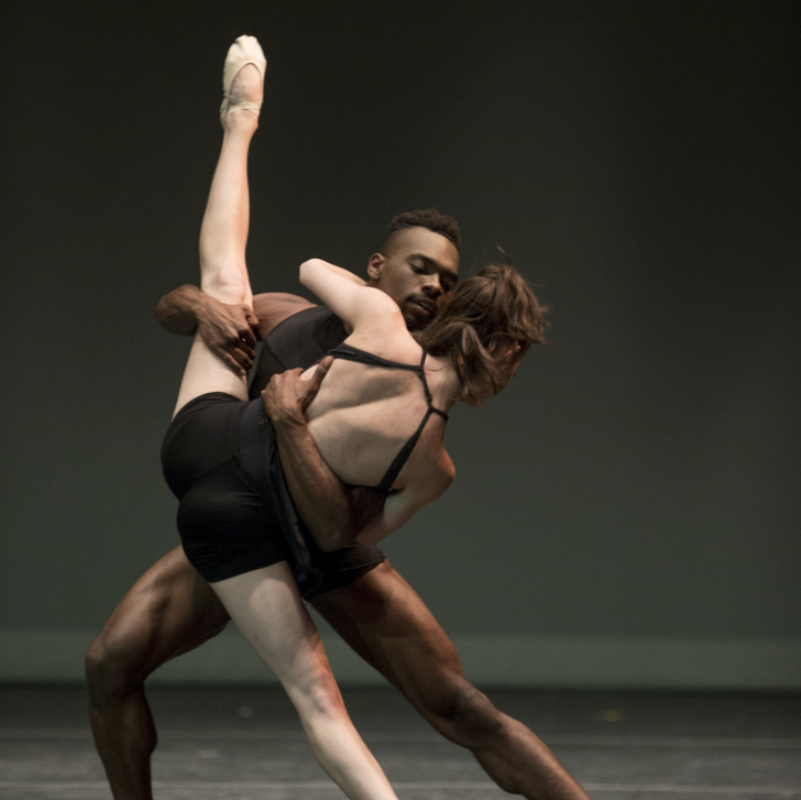 Professional Training Division — Nashville Ballet