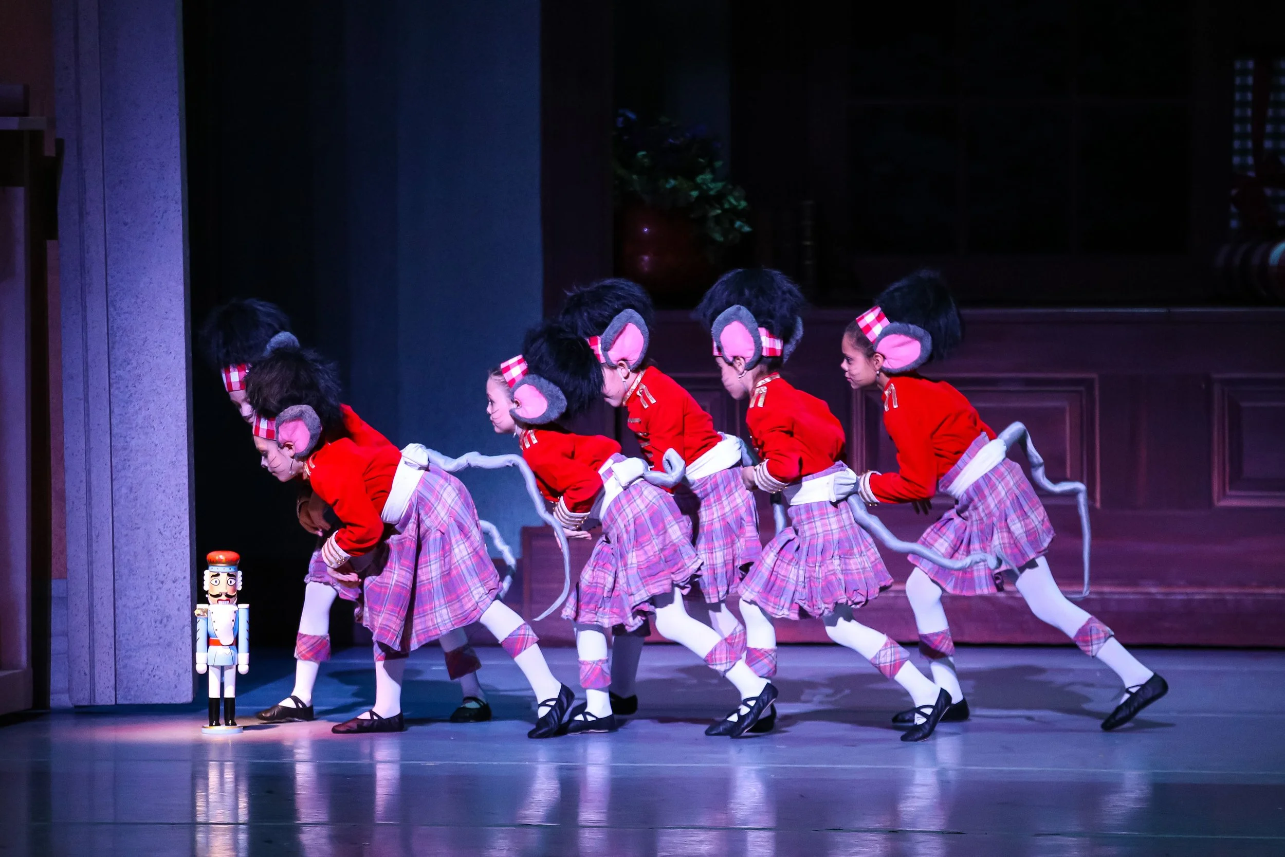Baby Mice — Nashville Ballet