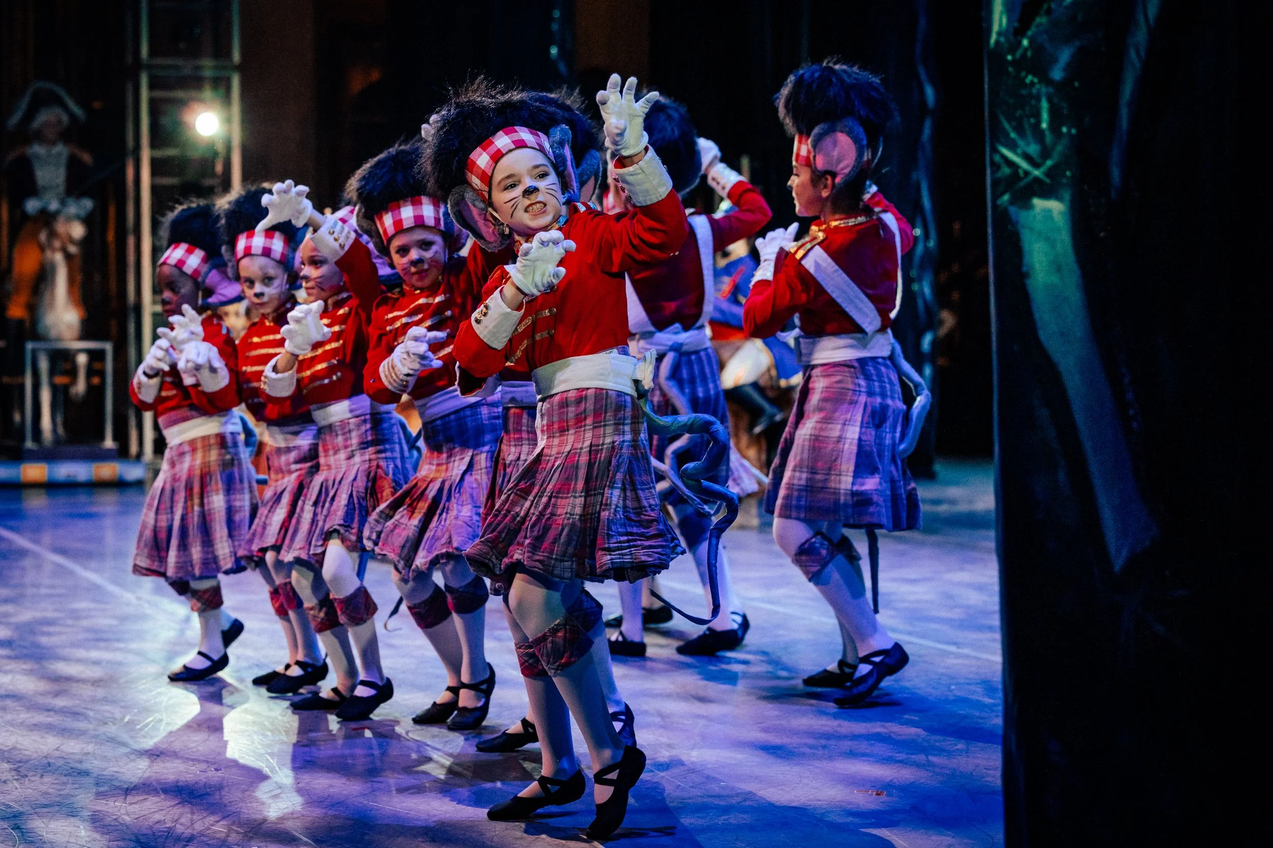 Baby Mice — Nashville Ballet