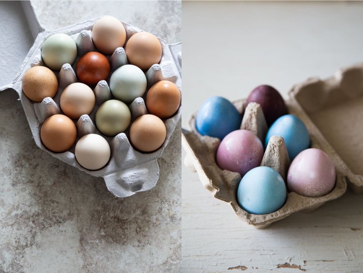 Tips for Spring Egg Photos | Lori Rice
