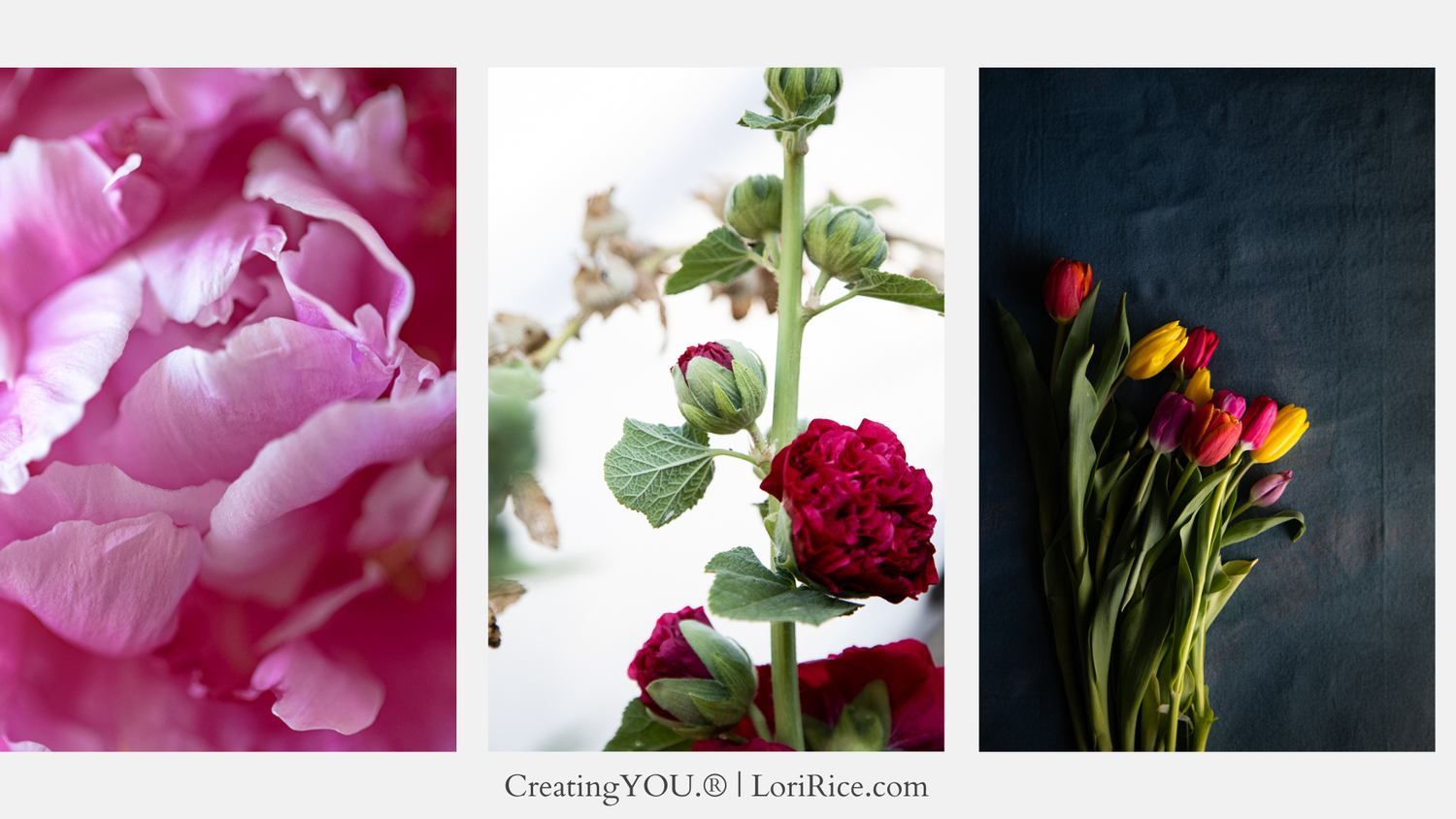 Tips for Flower Photography and Floral Design | Lori Rice