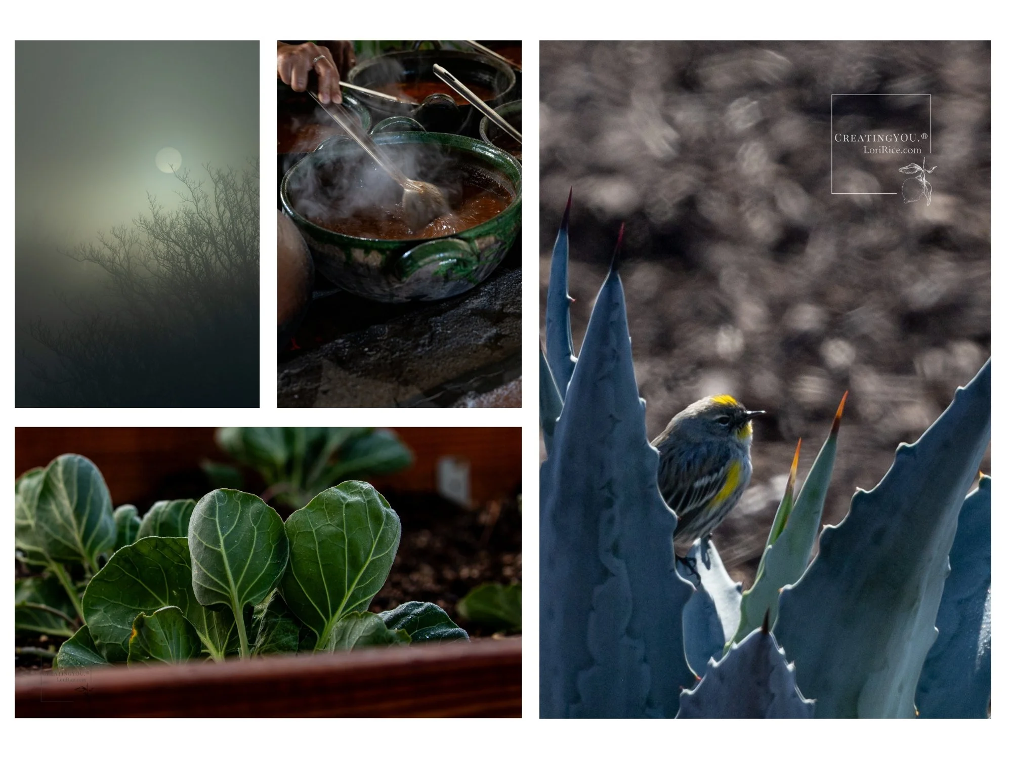 January in Photos | Lori Rice