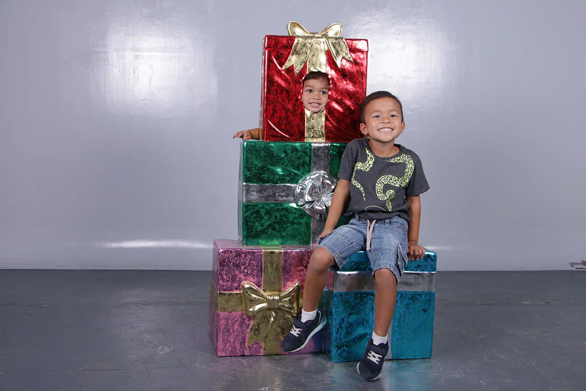 Display etc — HOLIDAY SUPPLY