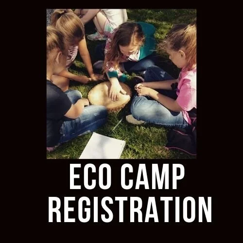 ECO Day Camp — ECO
