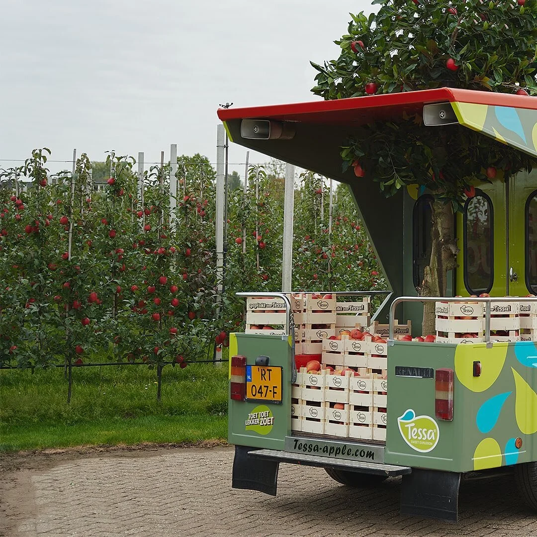 About — Sunshine and Sausages | The Addvertising Agency