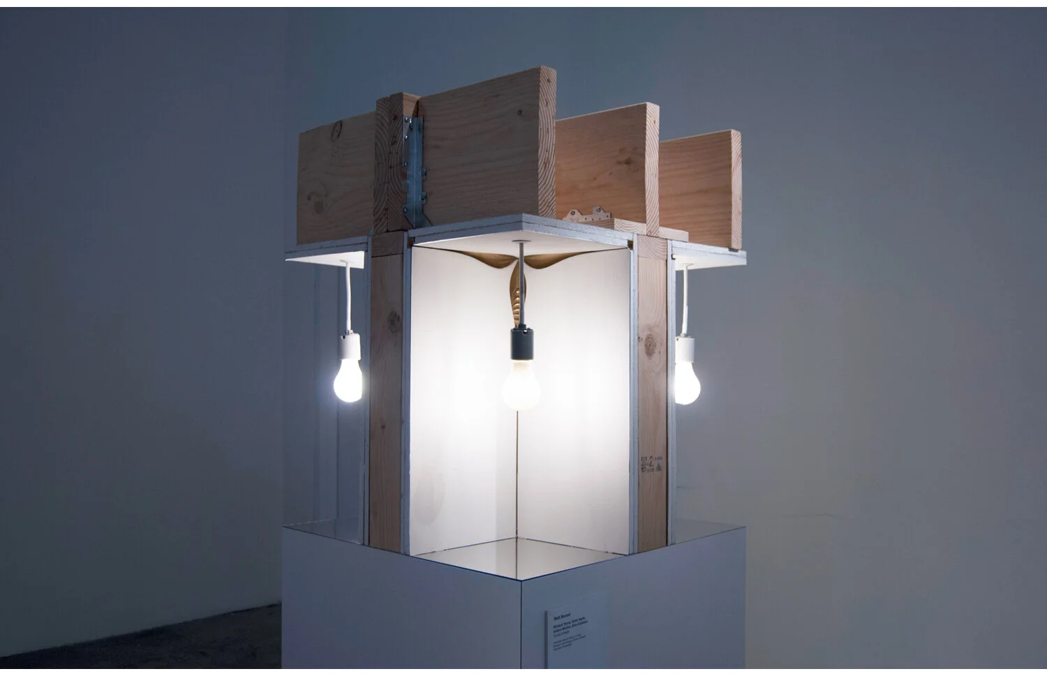 Wall Reveal — YOUNG & AYATA