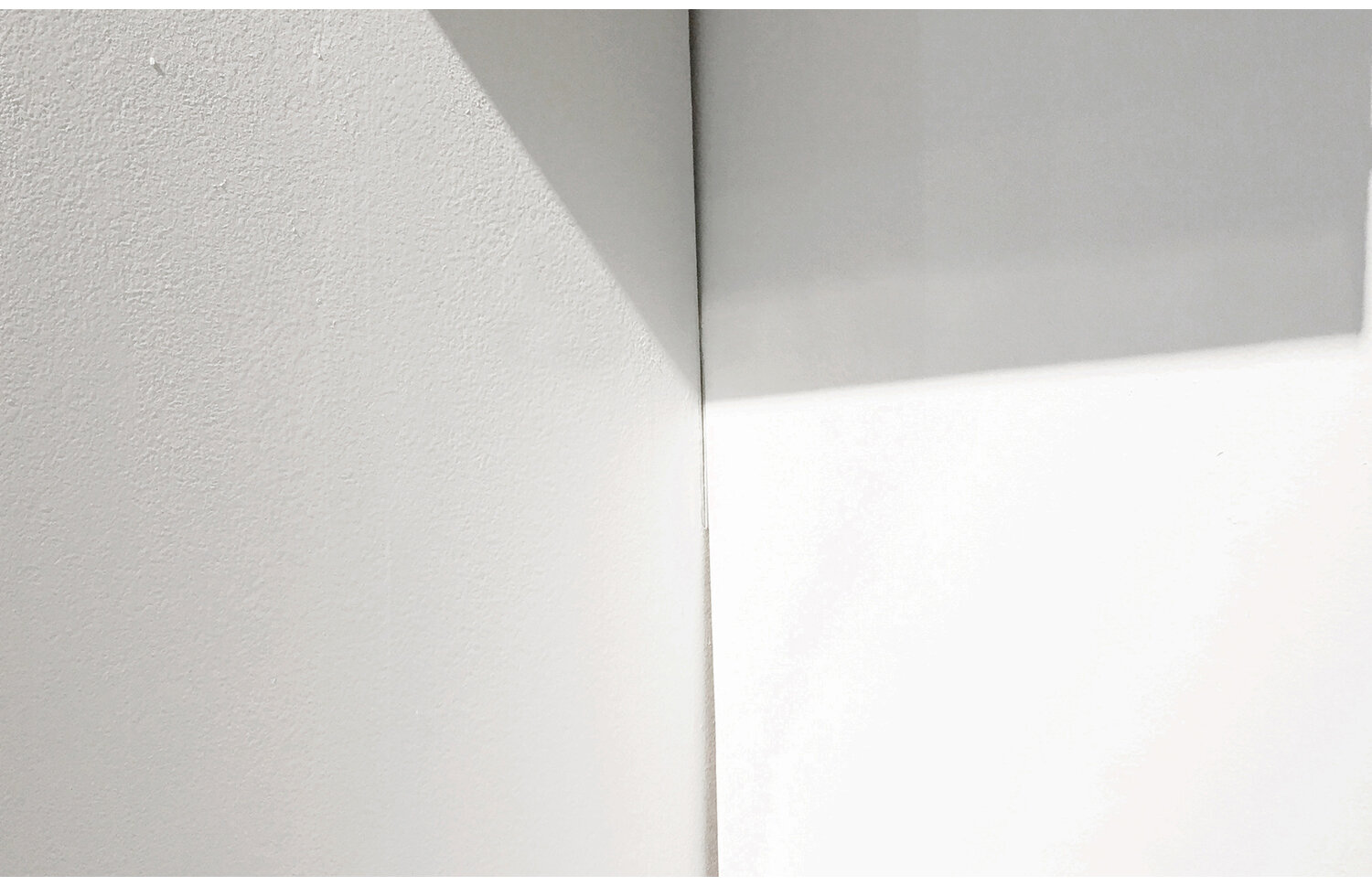 Wall Reveal — YOUNG & AYATA