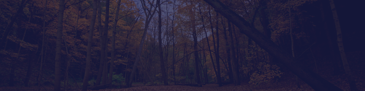 Giving Back: 2022 Annual Food Drive — PRG Property Management