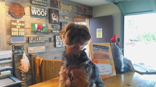 Bar Menu — Dog House Drinkery Dog Park