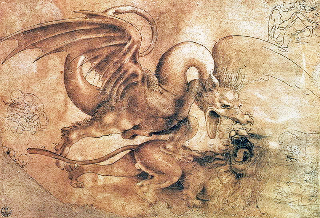 Leonardo Da Vinci Animal Drawings 77 Best Leonardo Da Vinci Drawings