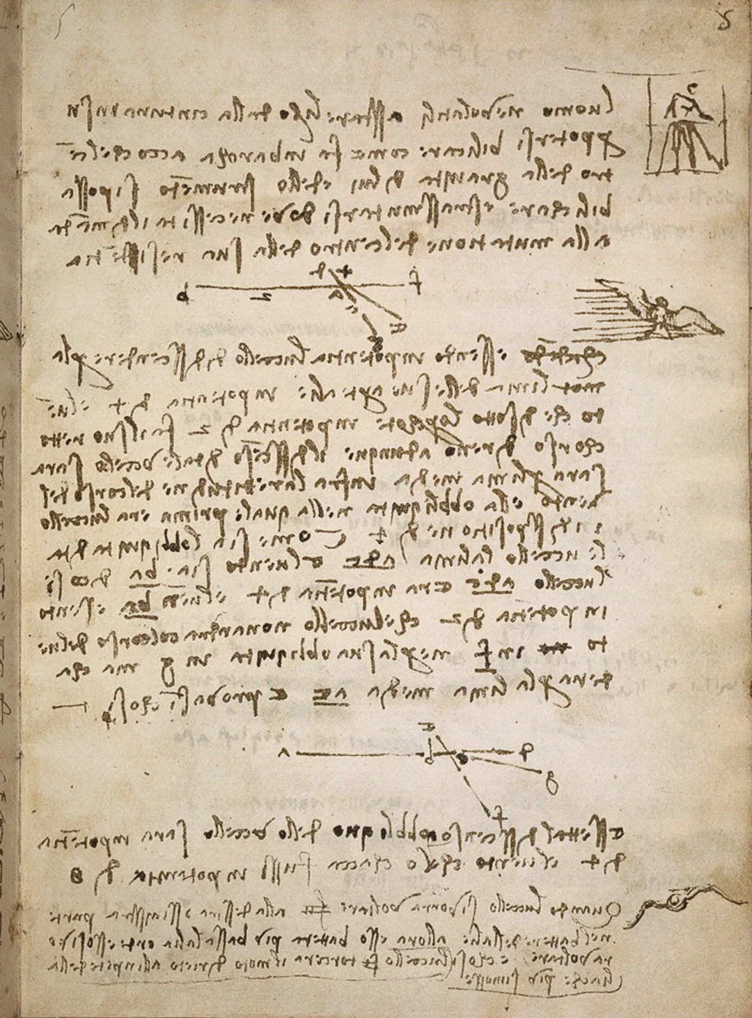 Flight — Discovering da Vinci: