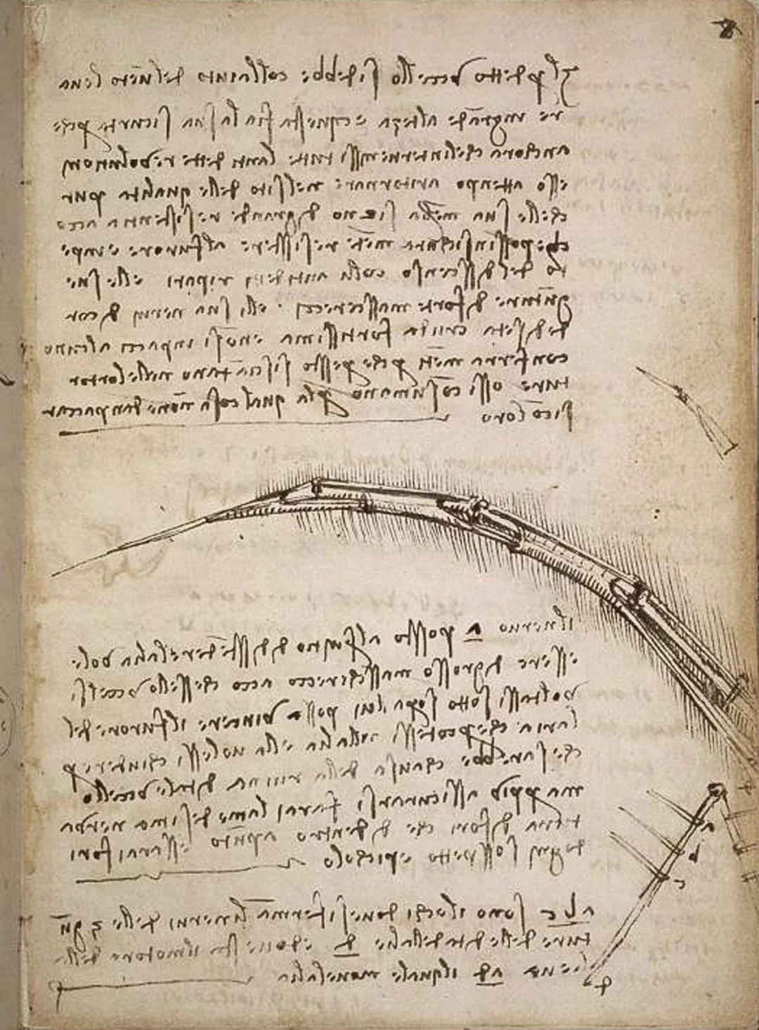 Flight — Discovering da Vinci: