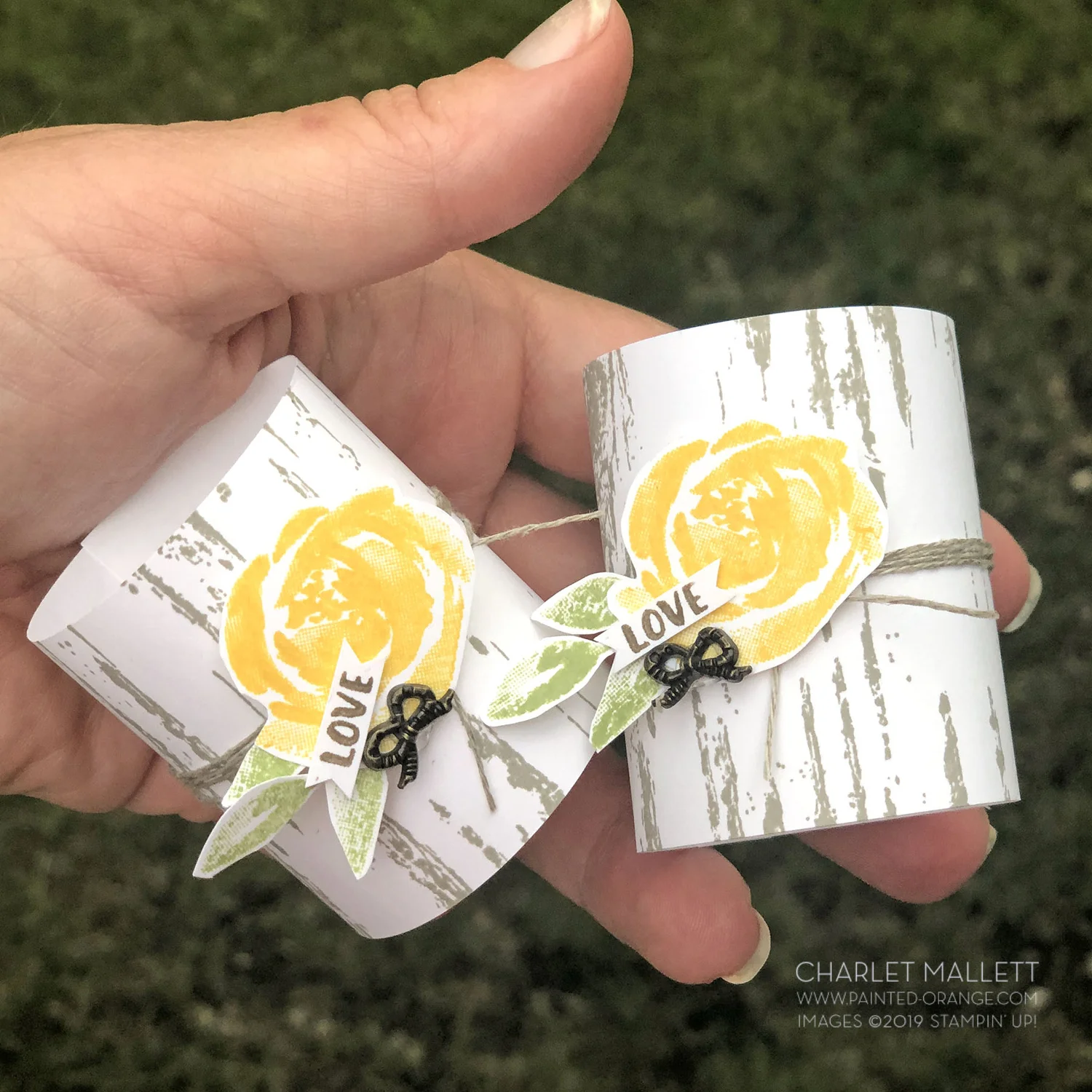 Birch - Stamp Review Crew — Painted Orange