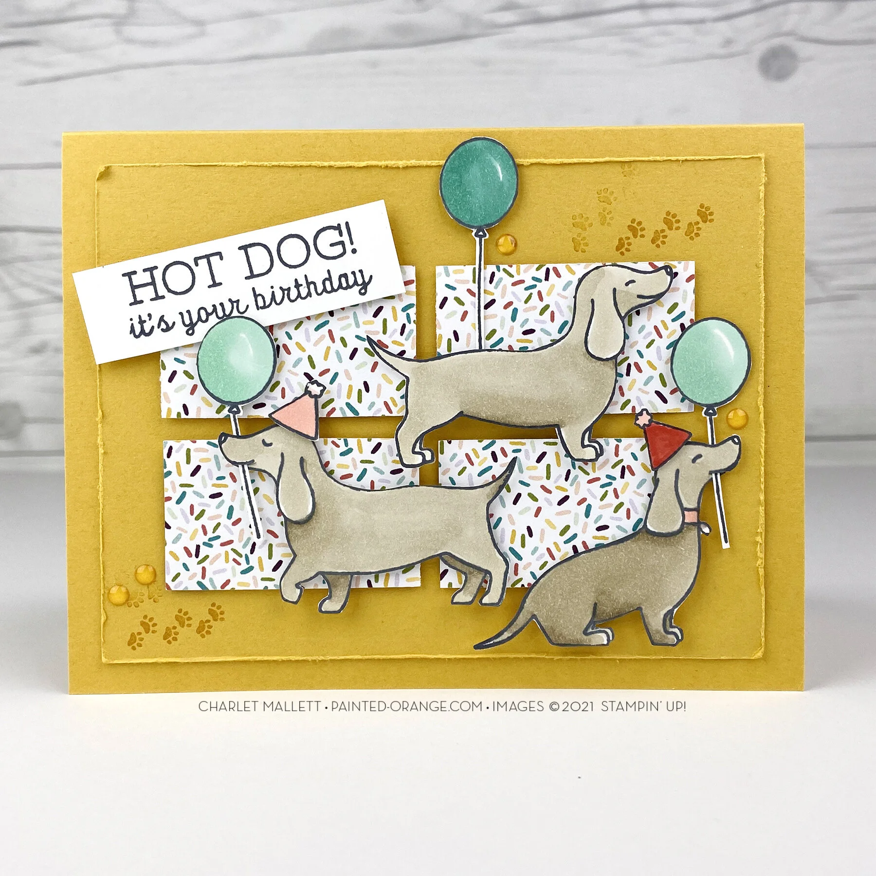 Hot Diggity Dog - Birthday Card — Painted Orange