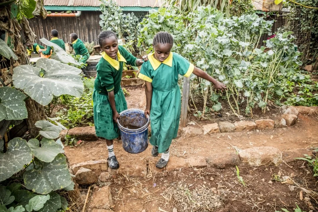 Ruben Centre — The 500 Supporters' Group
