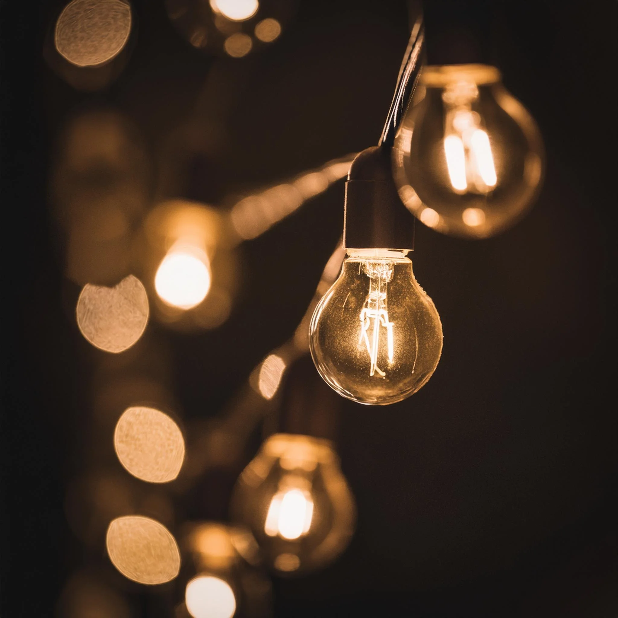 5M Festoon String Light Halloween — N O C T U R N A