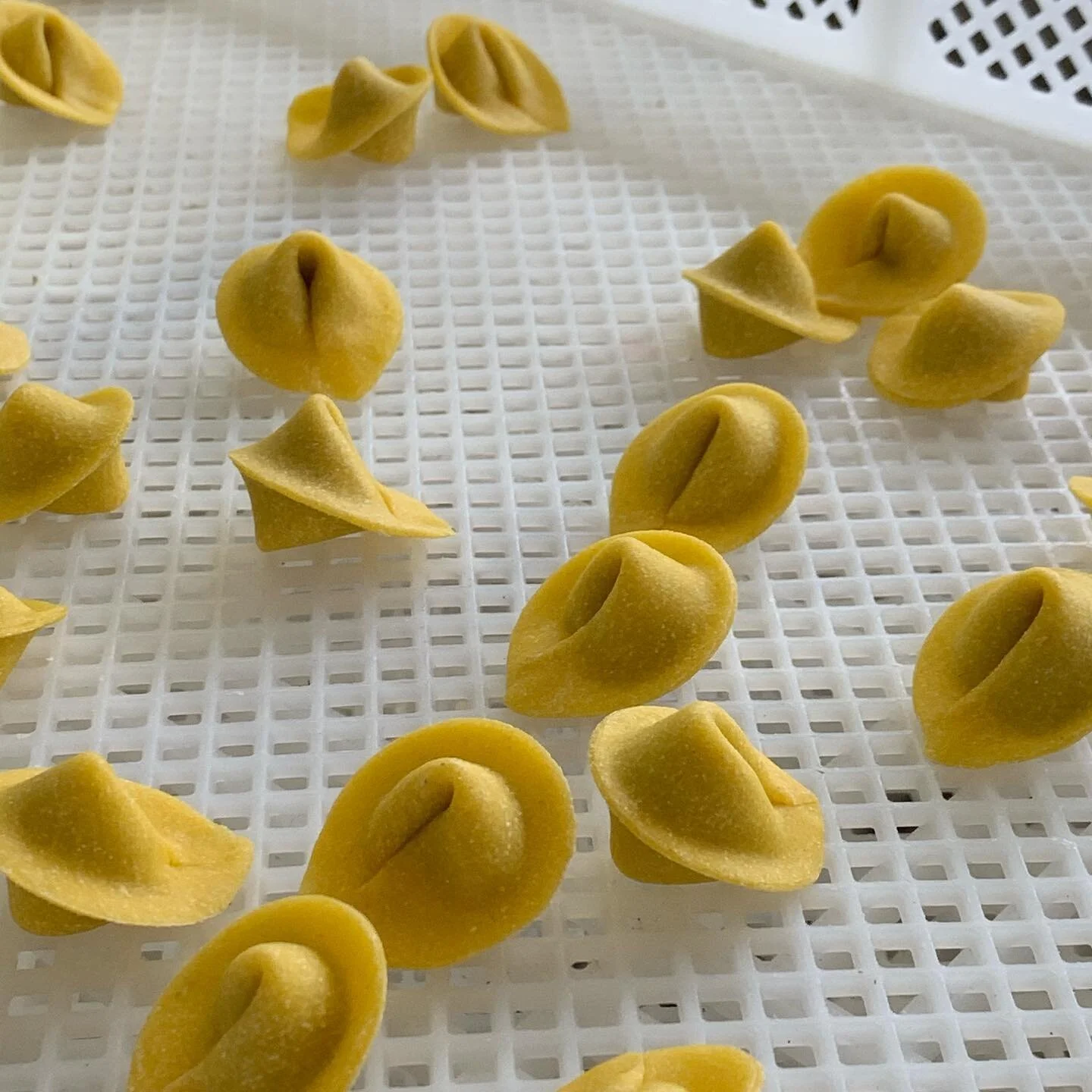 il__mattarello - il__mattarello®