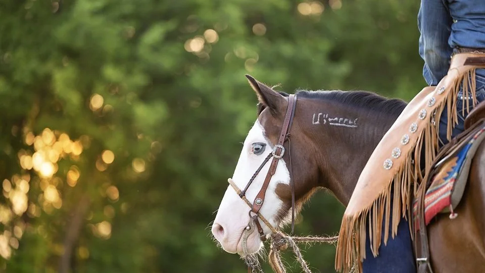 Western Horse Photography