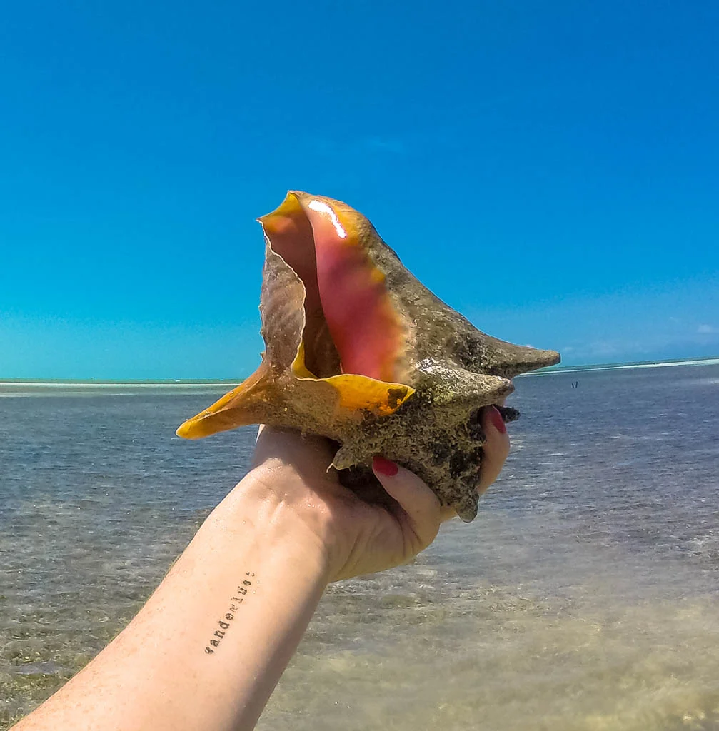 COOK THE NATIONAL DISH OF THE BAHAMAS — THE TRAVELING GINGER