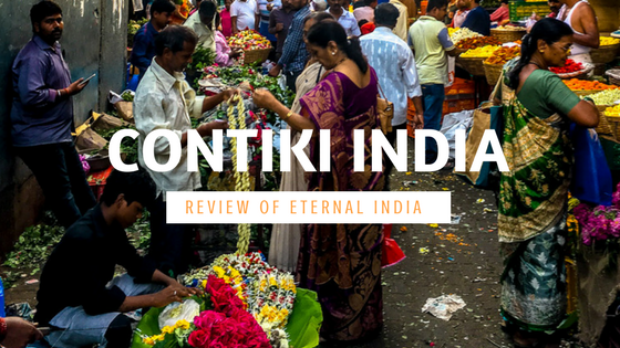 CONTIKI TOUR REVIEW: INDIA — THE TRAVELING GINGER