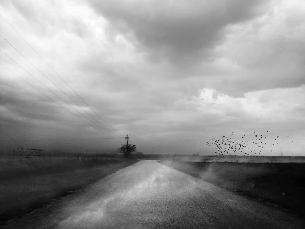 Home by Nightfall — Angela Bacon-Kidwell