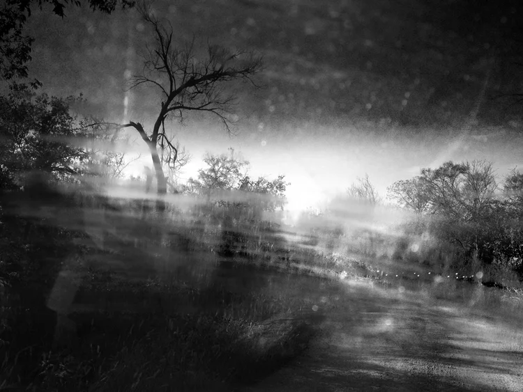Home by Nightfall — Angela Bacon-Kidwell
