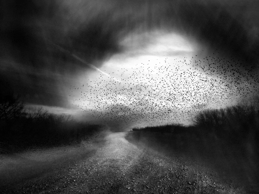 Home by Nightfall — Angela Bacon-Kidwell