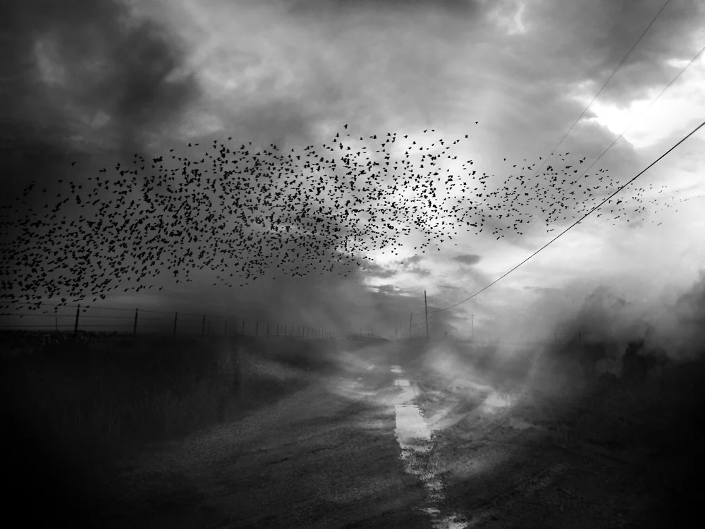 Home by Nightfall — Angela Bacon-Kidwell
